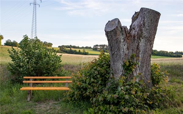 Der Stamm bleibt so, wie er ist